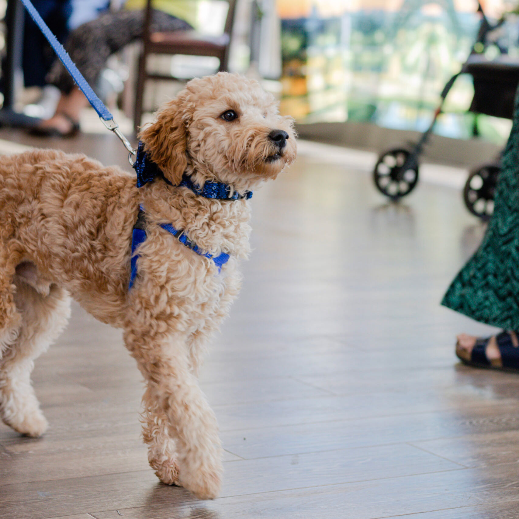 Menomonee Falls, WI Assisted Living | Grace Commons Senior Community