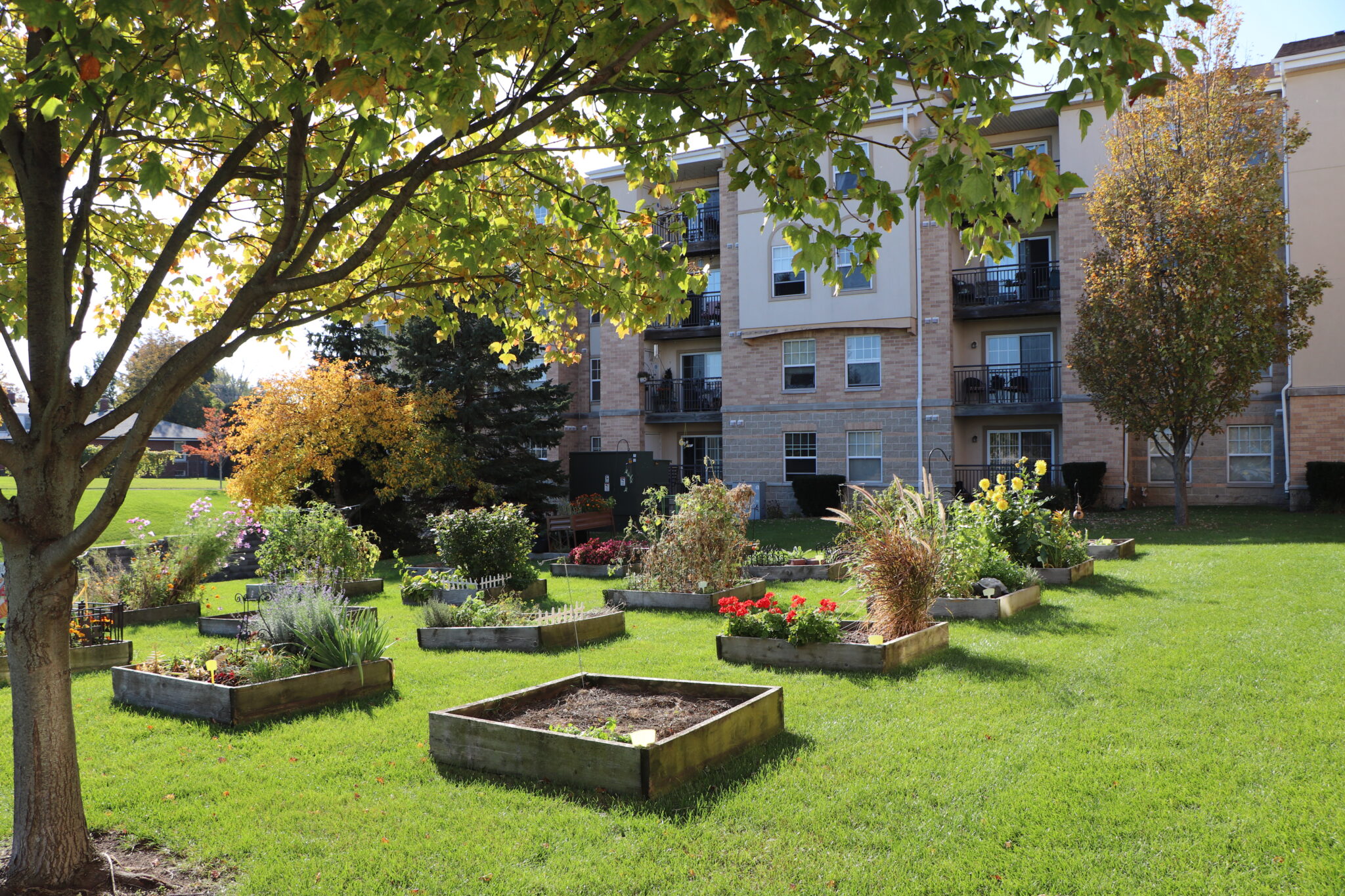 Amenities & Services - Capri Communities
